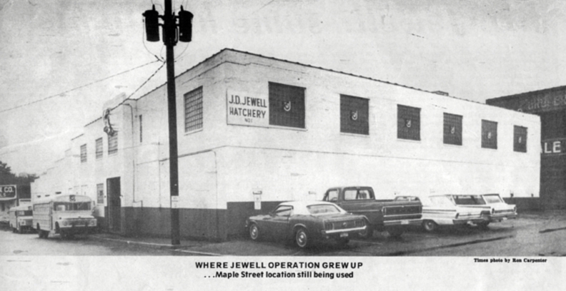 JANET’S STORY OF “JESSE” – JAYSPEAK